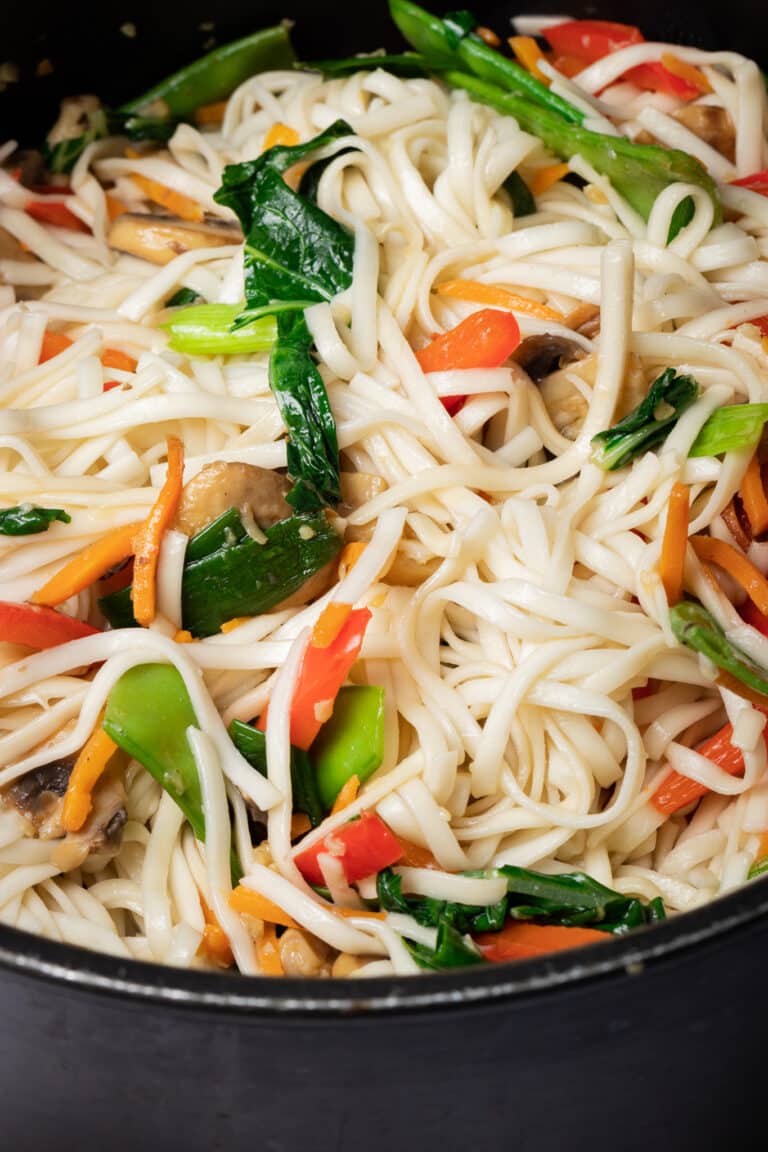 15 Minute Vegan Veggie Lo Mein - Entrees - ZardyPlants