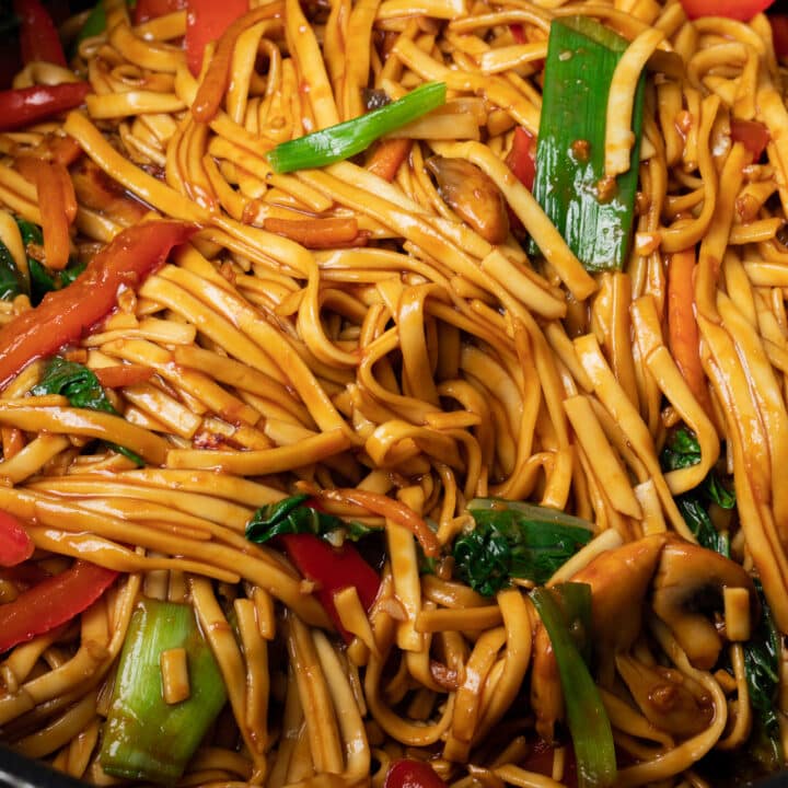 15 Minute Vegan Veggie Lo Mein - Entrees - ZardyPlants