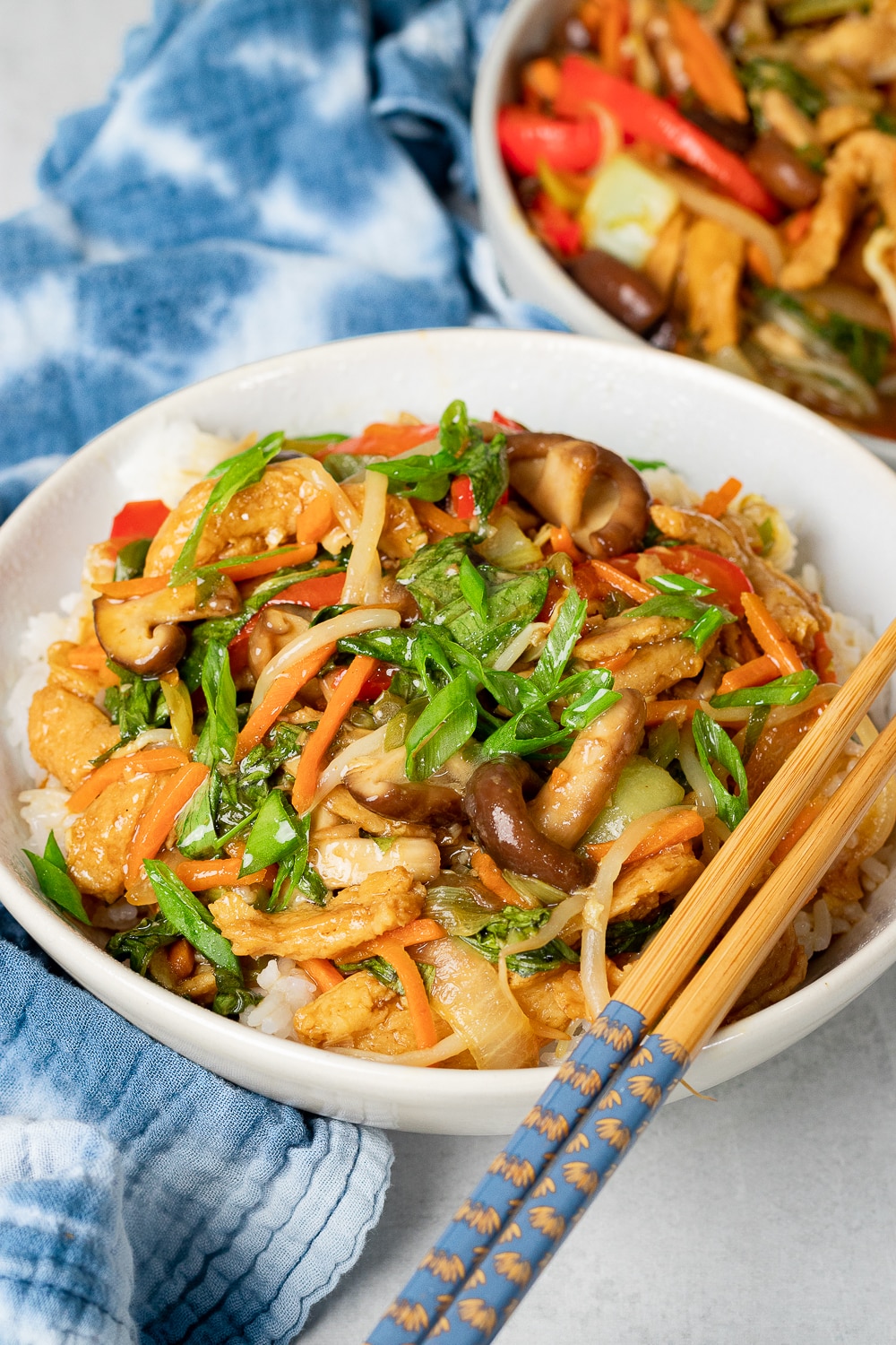 Vegan Chop Suey - Vegan and Oil-free Recipes - ZardyPlants