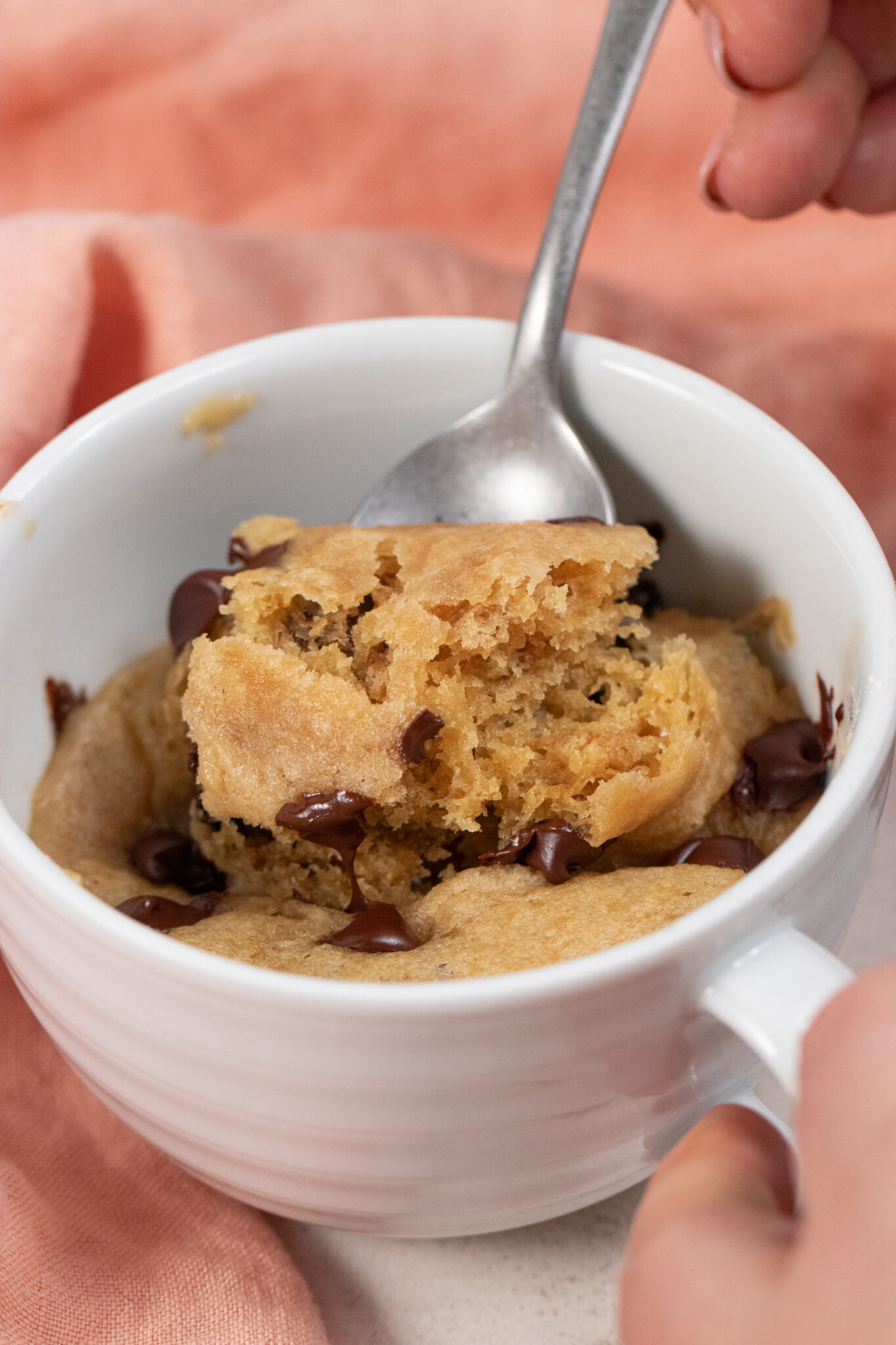 Vegan Mug Cookie (Chocolate Chip) - ZardyPlants