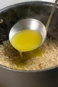 Garlic Risotto - ZardyPlants