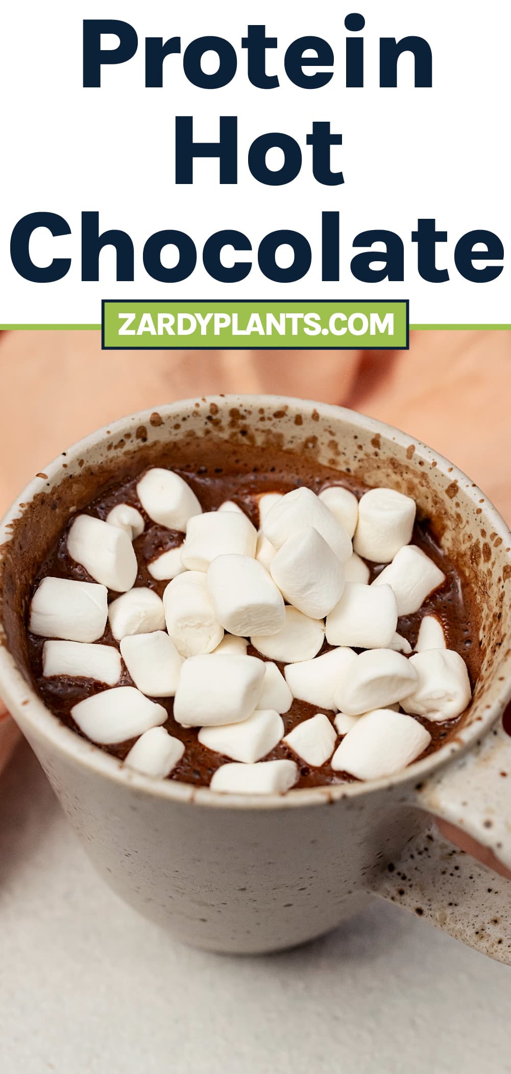 Protein Hot Chocolate (Vegan and Easy To Make!) - ZardyPlants