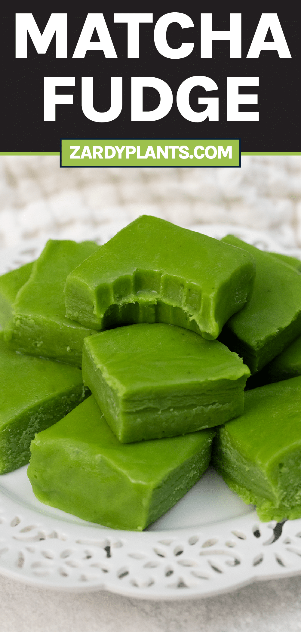 Matcha Fudge (Dairy-Free and Easy!) - ZardyPlants