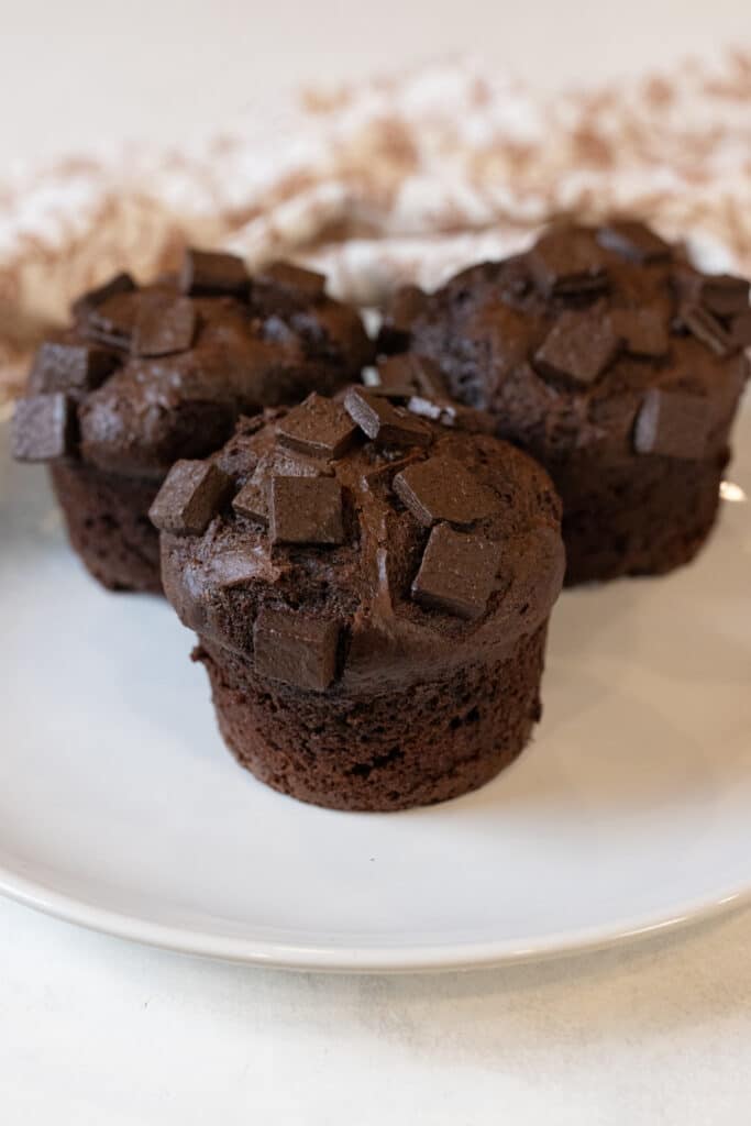 Easy Vegan Chocolate Muffins Recipe - ZardyPlants
